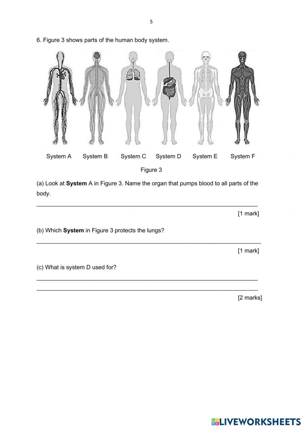 PSR Science Pap… | Free Interactive Worksheets | 3422331