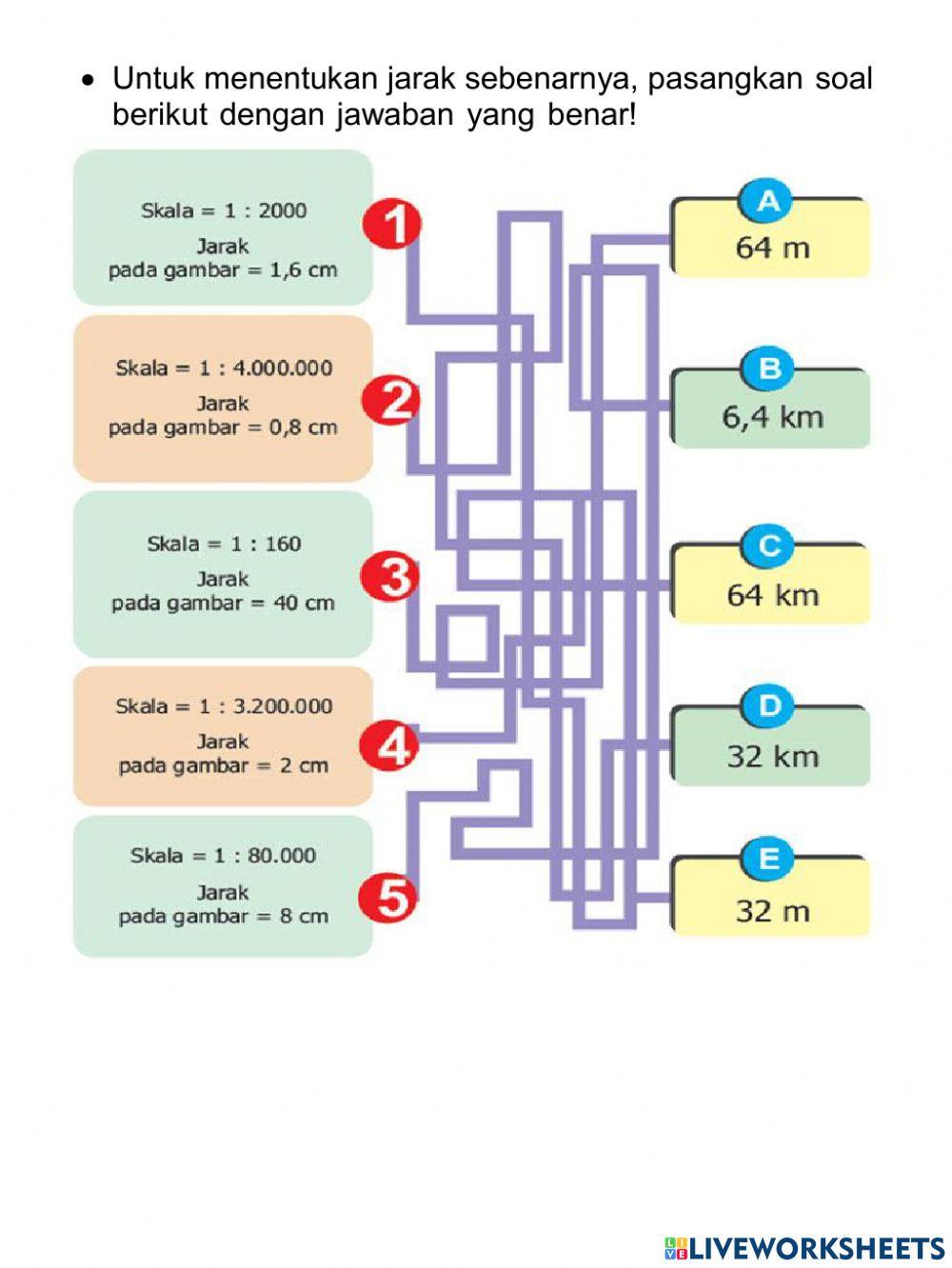 Skala interactive worksheet for 5 | Live Worksheets