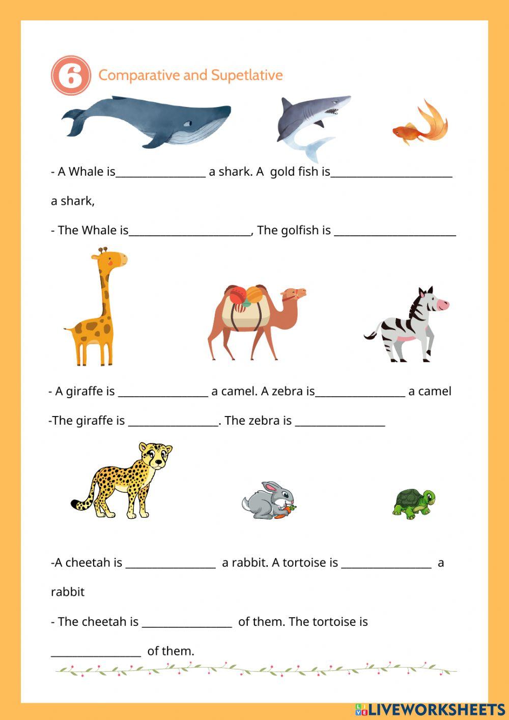The language Focus worksheet | Live Worksheets