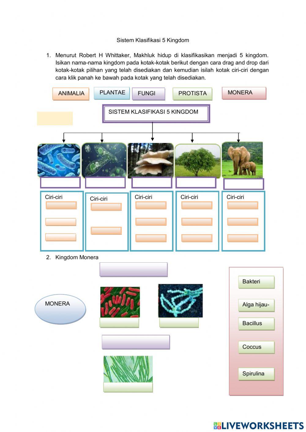 Klasifikasi Mak… | Free Interactive Worksheets | 1349242