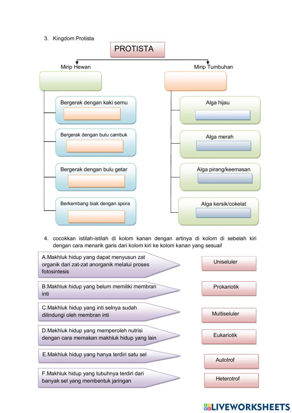 Klasifikasi Mak… | Free Interactive Worksheets | 1349242