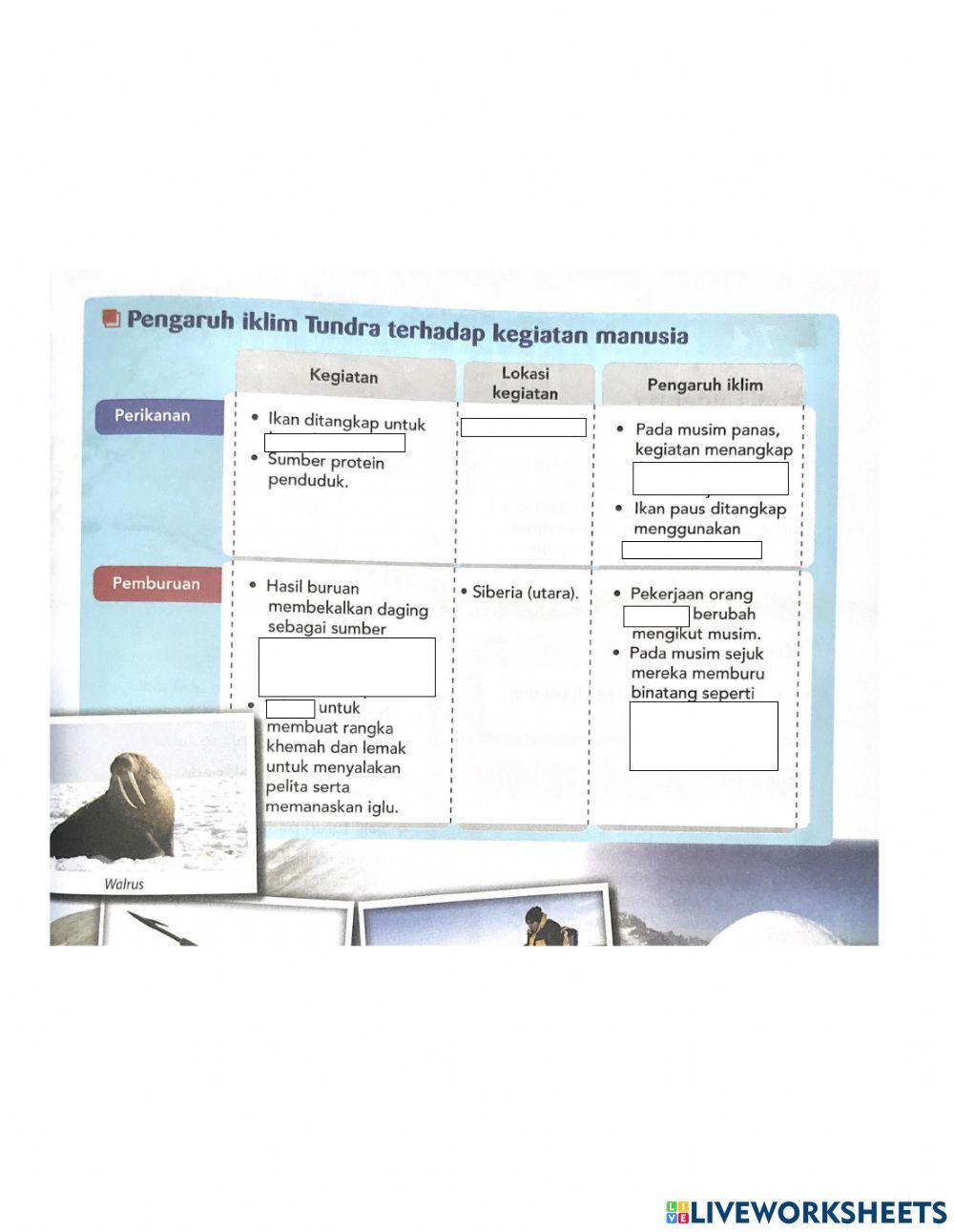 Zon Iklim Sejuk… | Free Interactive Worksheets | 3838726