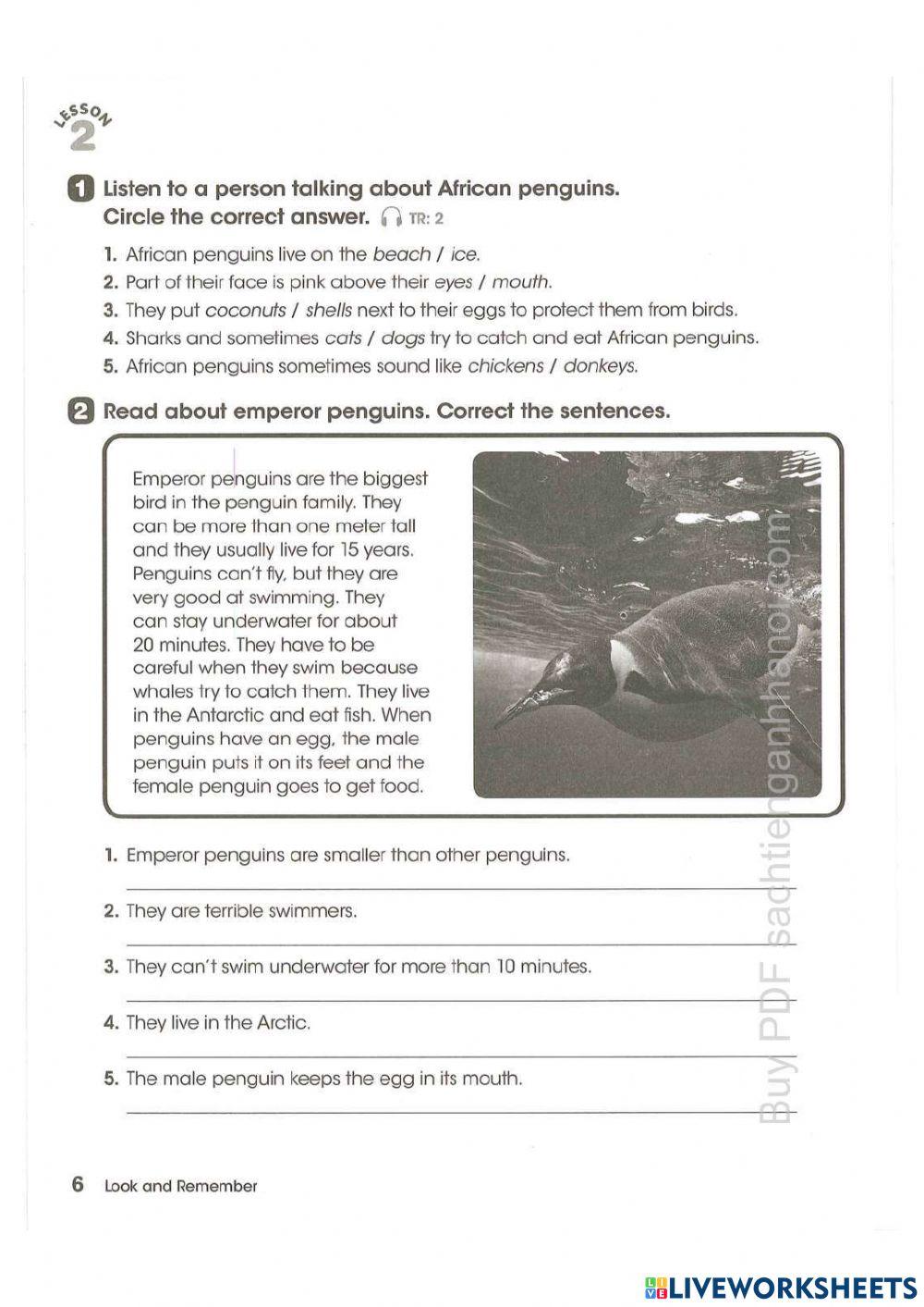 U0-p7 1354083 | Nguyễn Thị Tuyết | LiveWorksheets