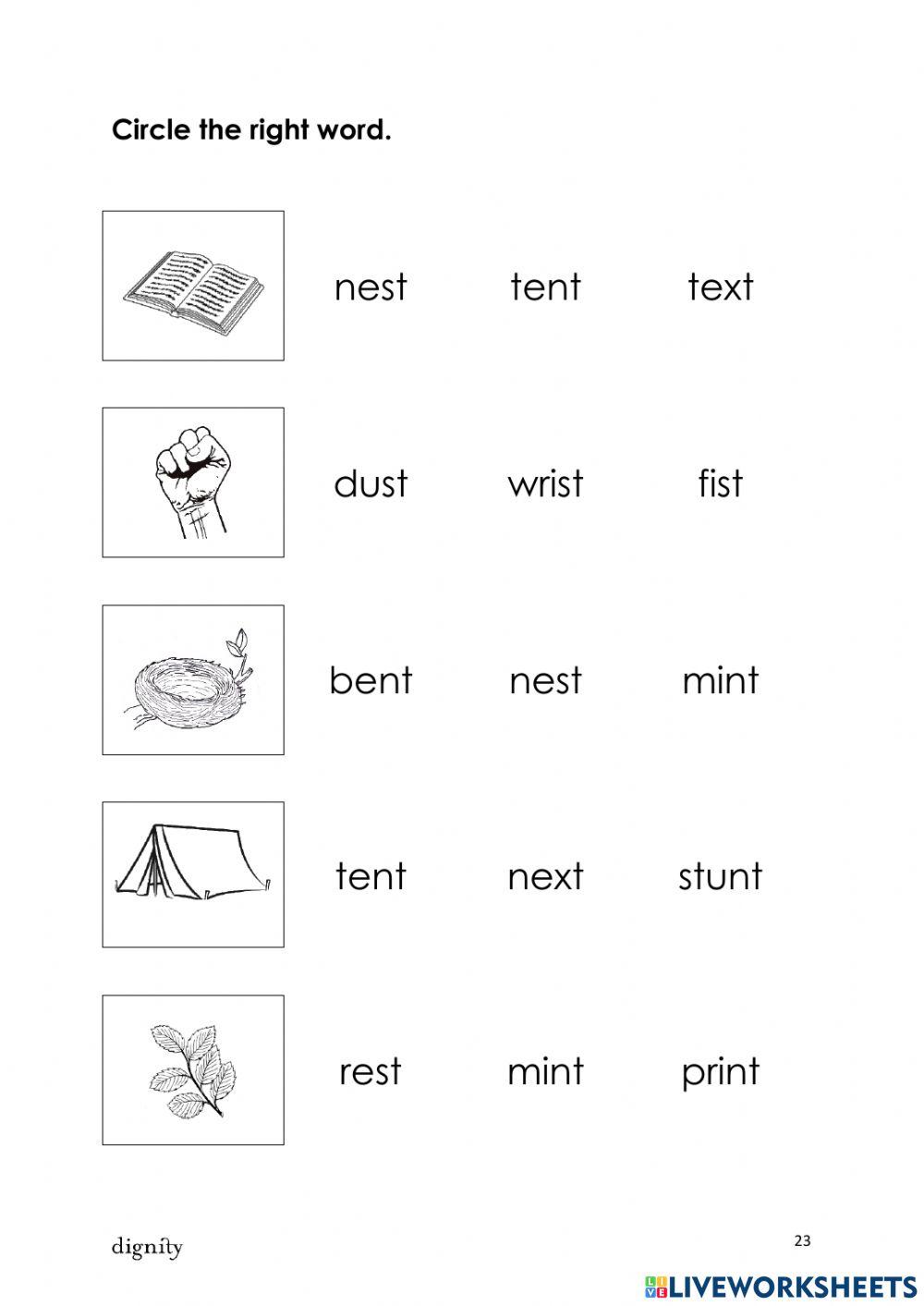 Xt , st ,revision worksheet | Live Worksheets