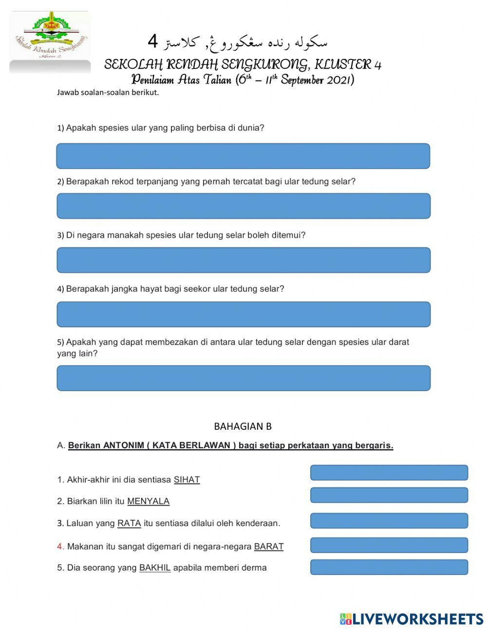 Online Assessment interactive worksheet | Live Worksheets