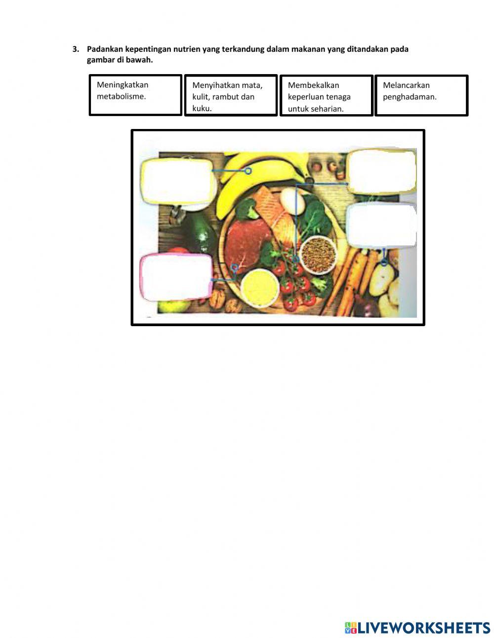 Uji minda nutrien 0518 | cikgu_zach | Live Worksheets