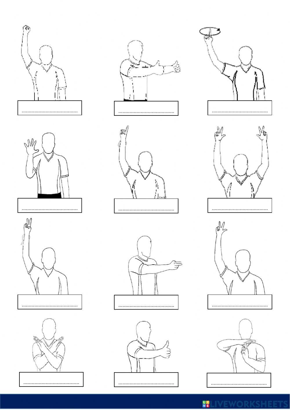 Basketball activity | Live Worksheets