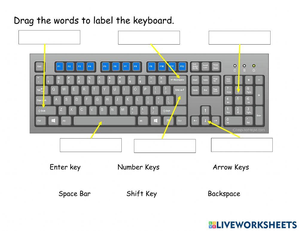 Computer Keyboard Picture With Label Computer Keyboard Picture With Label