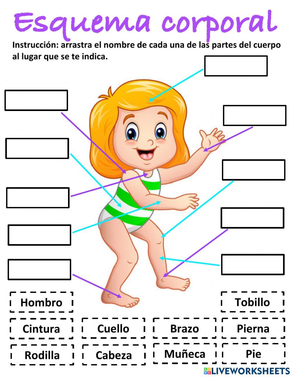 Esquema personal worksheet | Live Worksheets