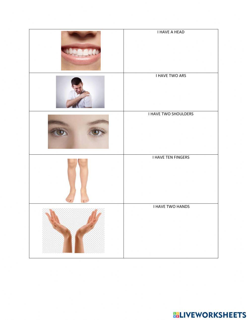 Part of the body interactive worksheet for 1 | Live Worksheets