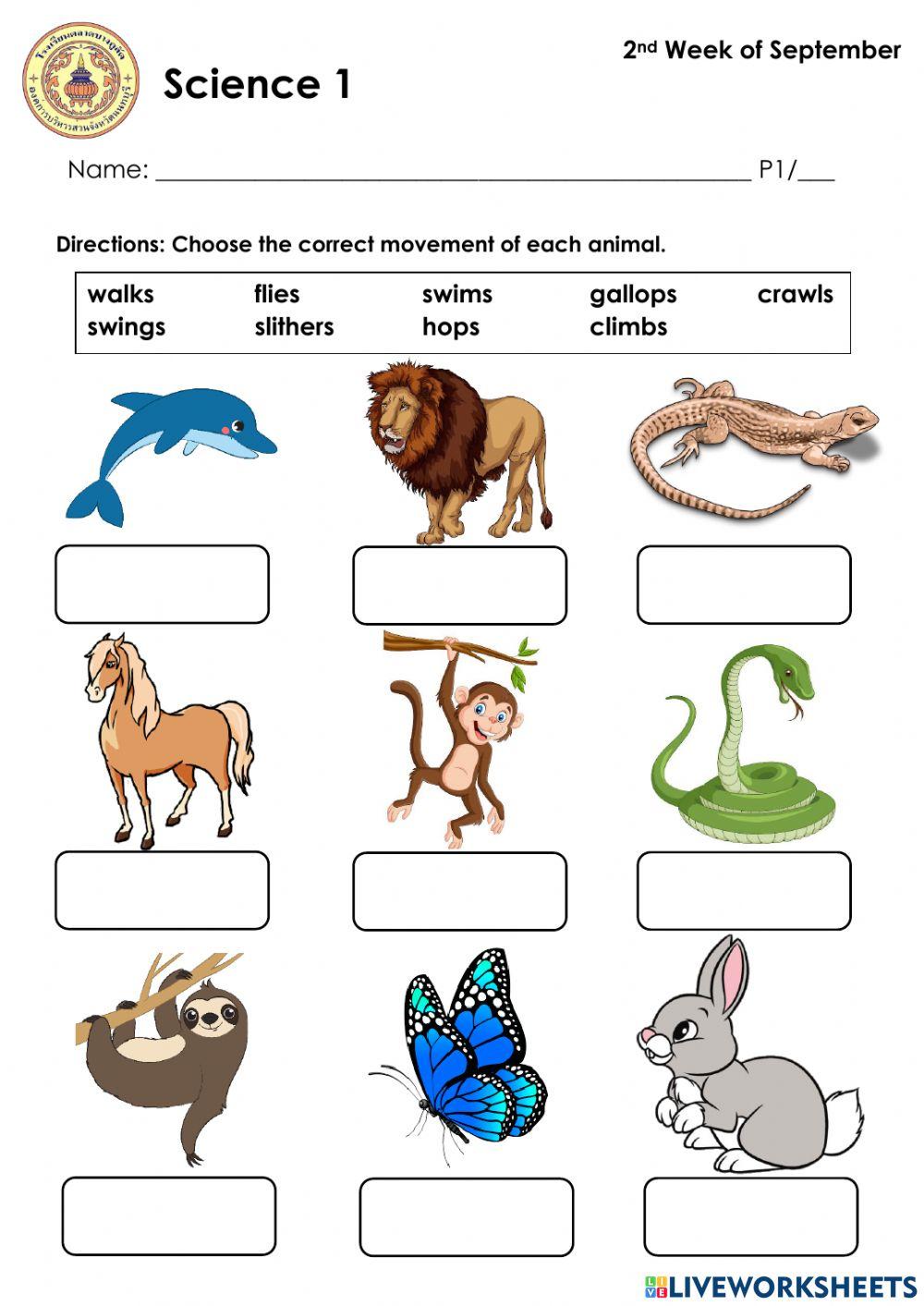 Movements of An… | Free Interactive Worksheets | 1359153