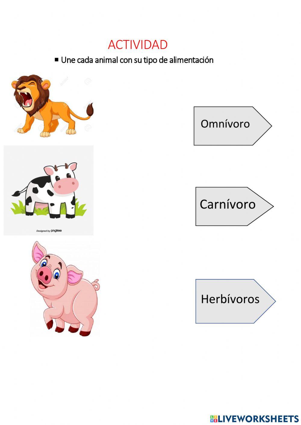 Fichas interactivas activity for segundo | Live Worksheets