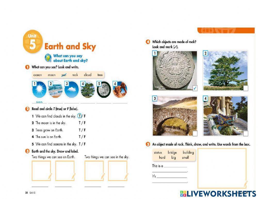 Science online exercise for Segundo | Live Worksheets