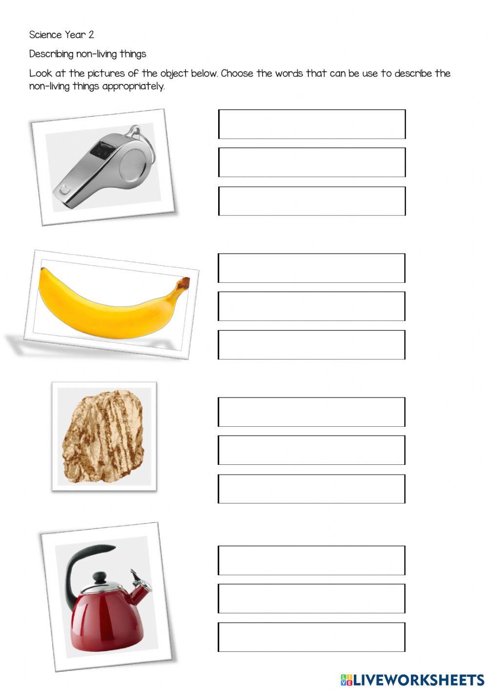 Describing Obje… | Free Interactive Worksheets | 1360331