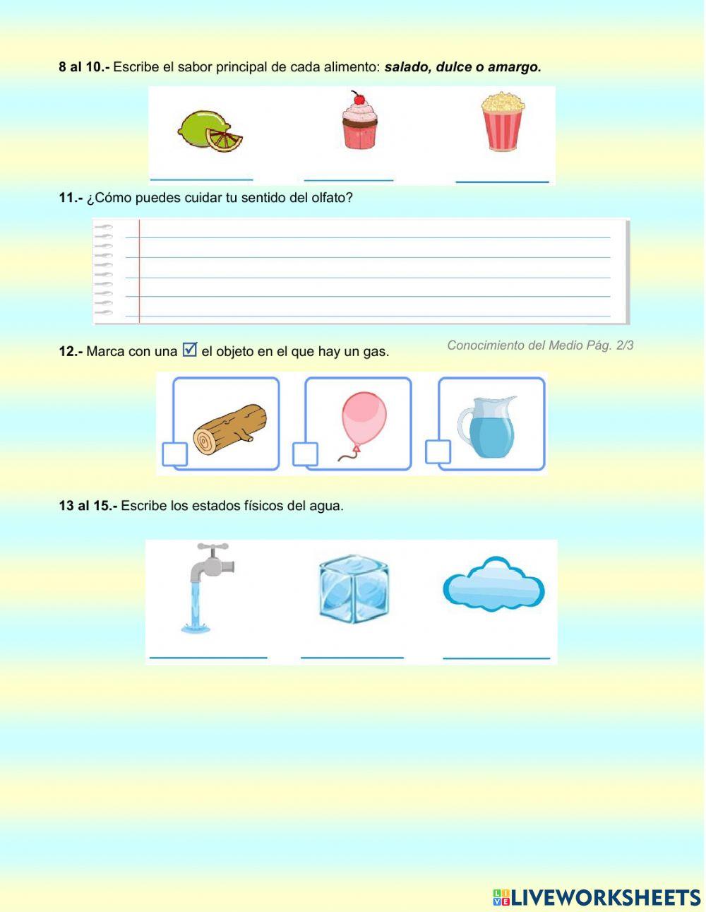 Diagnóstico cie… | Free Interactive Worksheets | 5154534