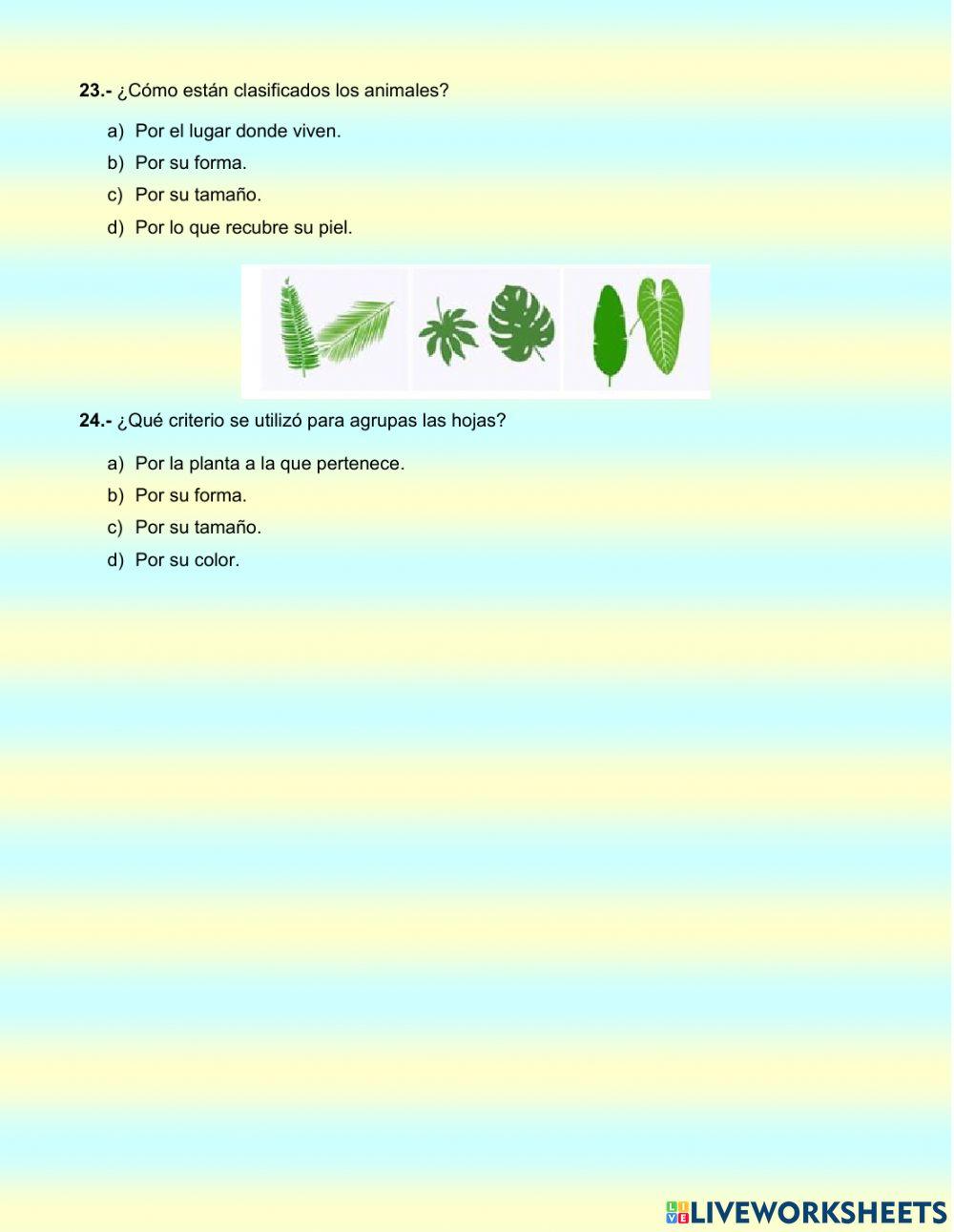 Diagnóstico cie… | Free Interactive Worksheets | 5154534