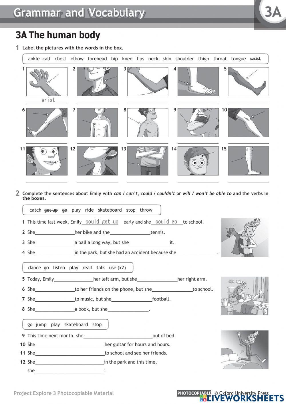 Body parts and abilities worksheet | Live Worksheets