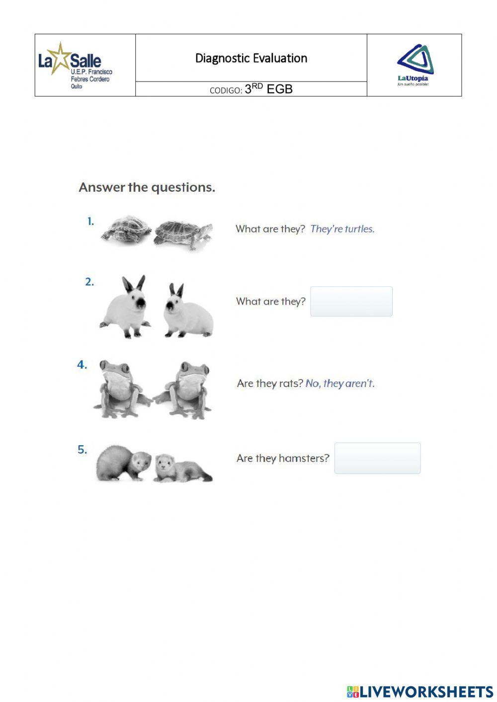 Diagnostic Evaluation 3EGB online exercise for | Live Worksheets