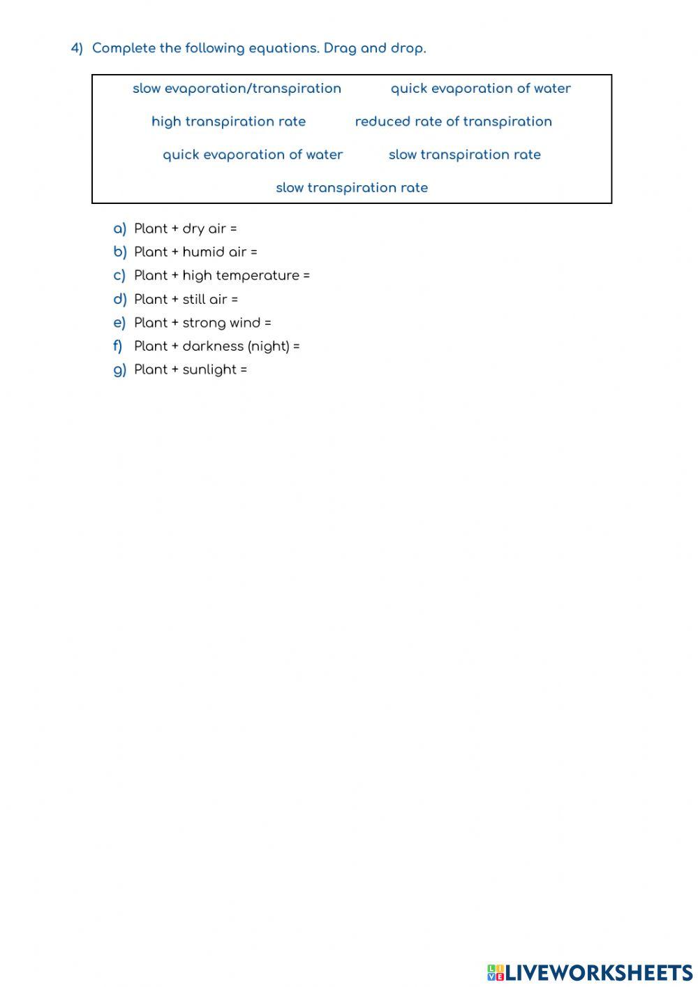 Transpiration in plants 3369064 | Agustina Falcón | Live