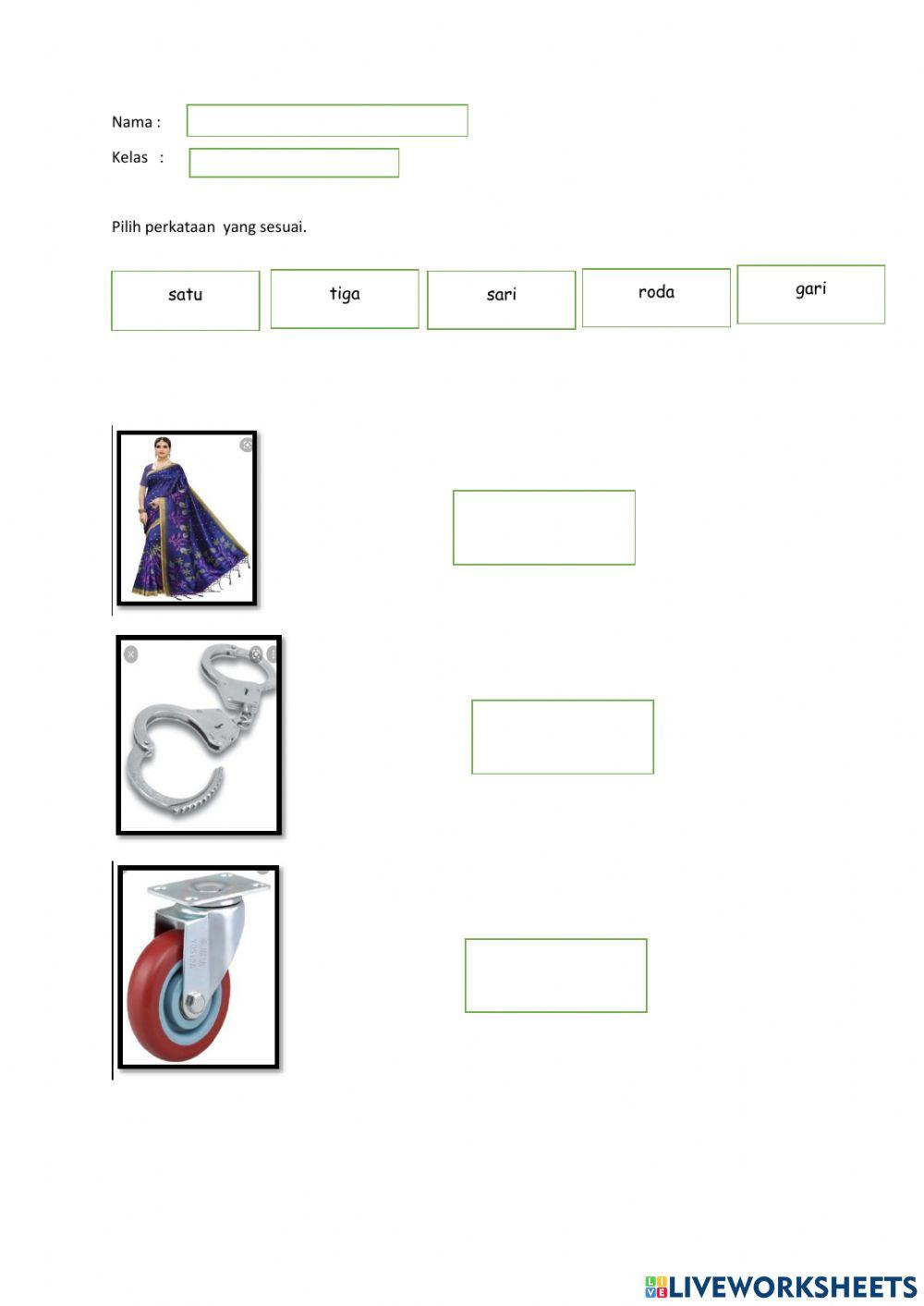 sari worksheet | Live Worksheets