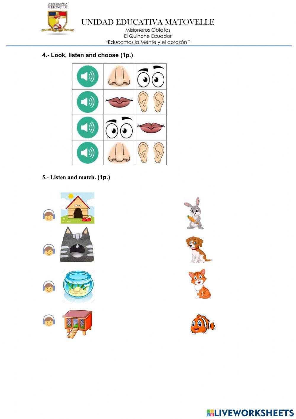 DIAGNOSTIC TEST… | Free Interactive Worksheets | 5154935