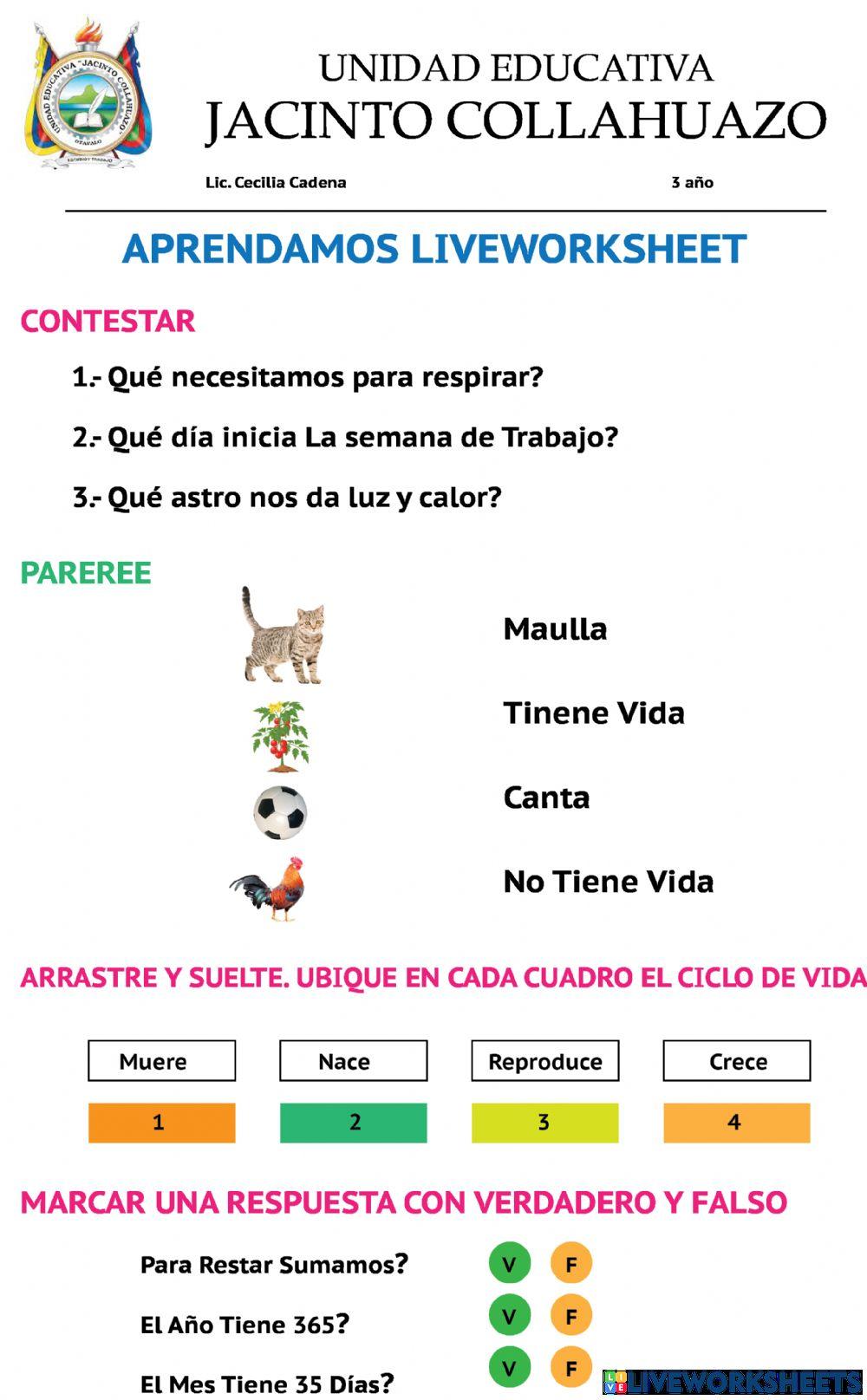 Aprendiendo usar livework worksheet | Live Worksheets