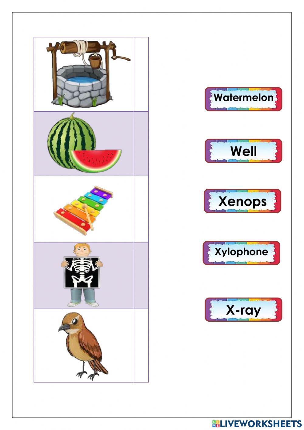 English worksheet activity for preschool | Live Worksheets