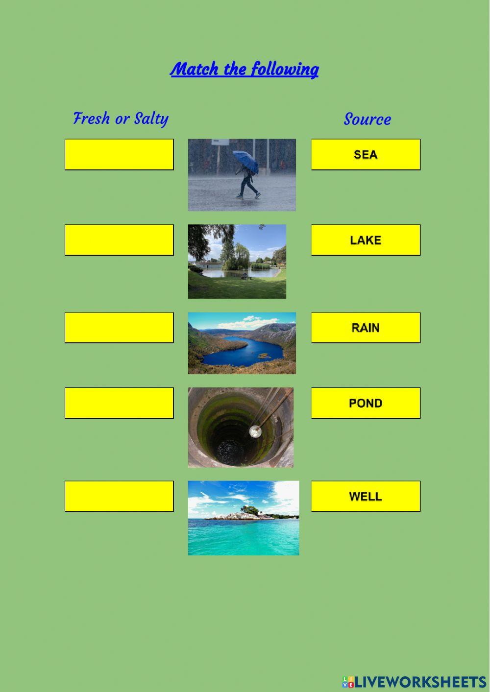Sources of water 2C&2G worksheet | Live Worksheets
