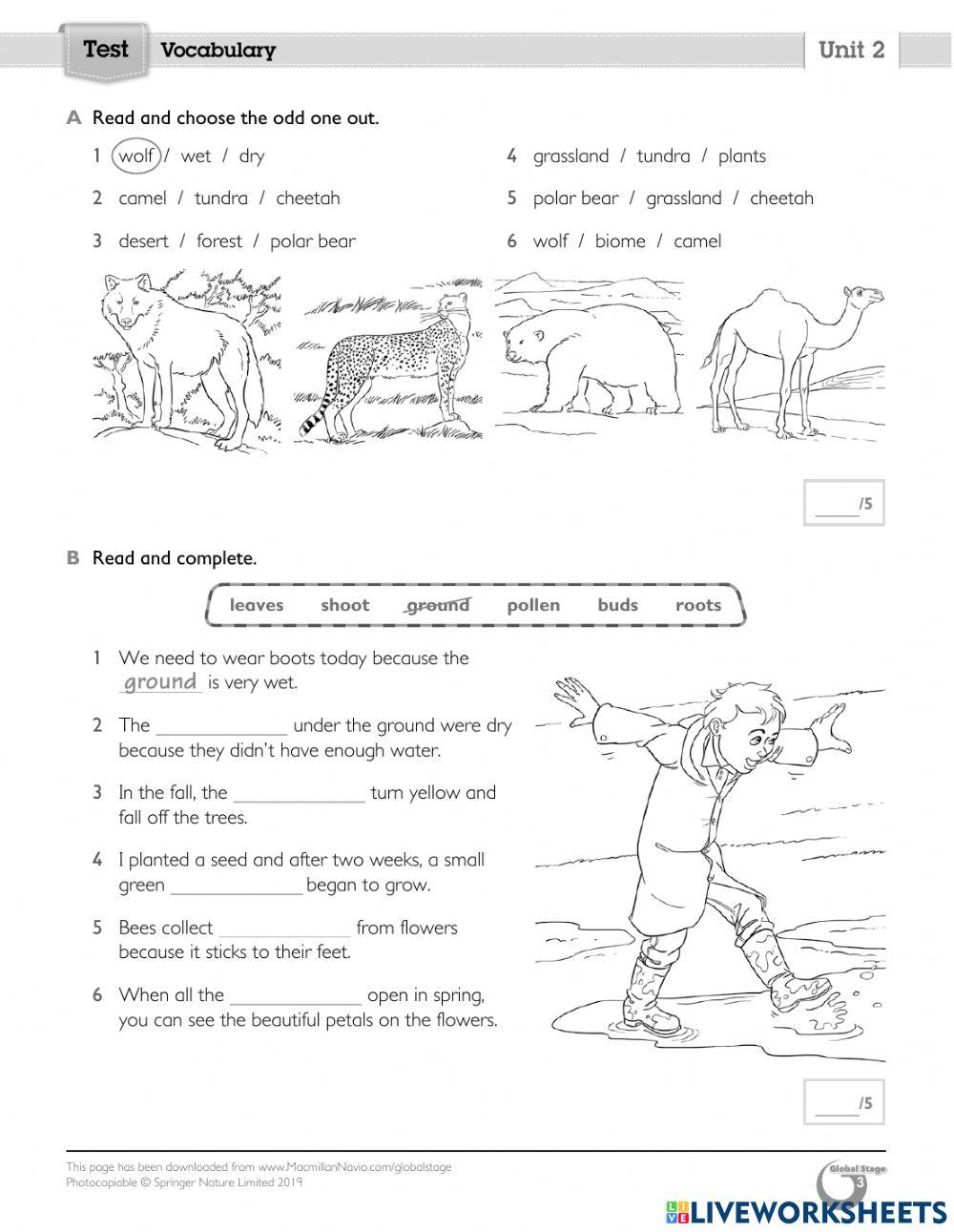 Unit 2 test (Gl… | Free Interactive Worksheets | 3372053