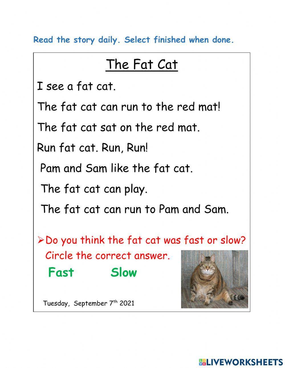 Pat The Cat Reading Comprehension Youtube
