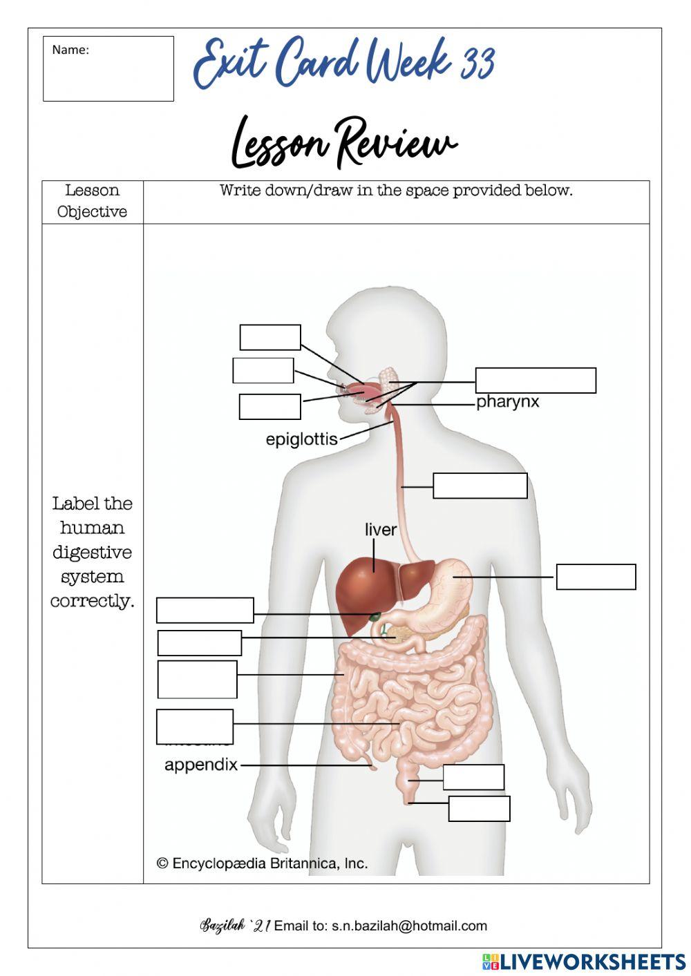 Exit Card Week … | Free Interactive Worksheets | 1367089