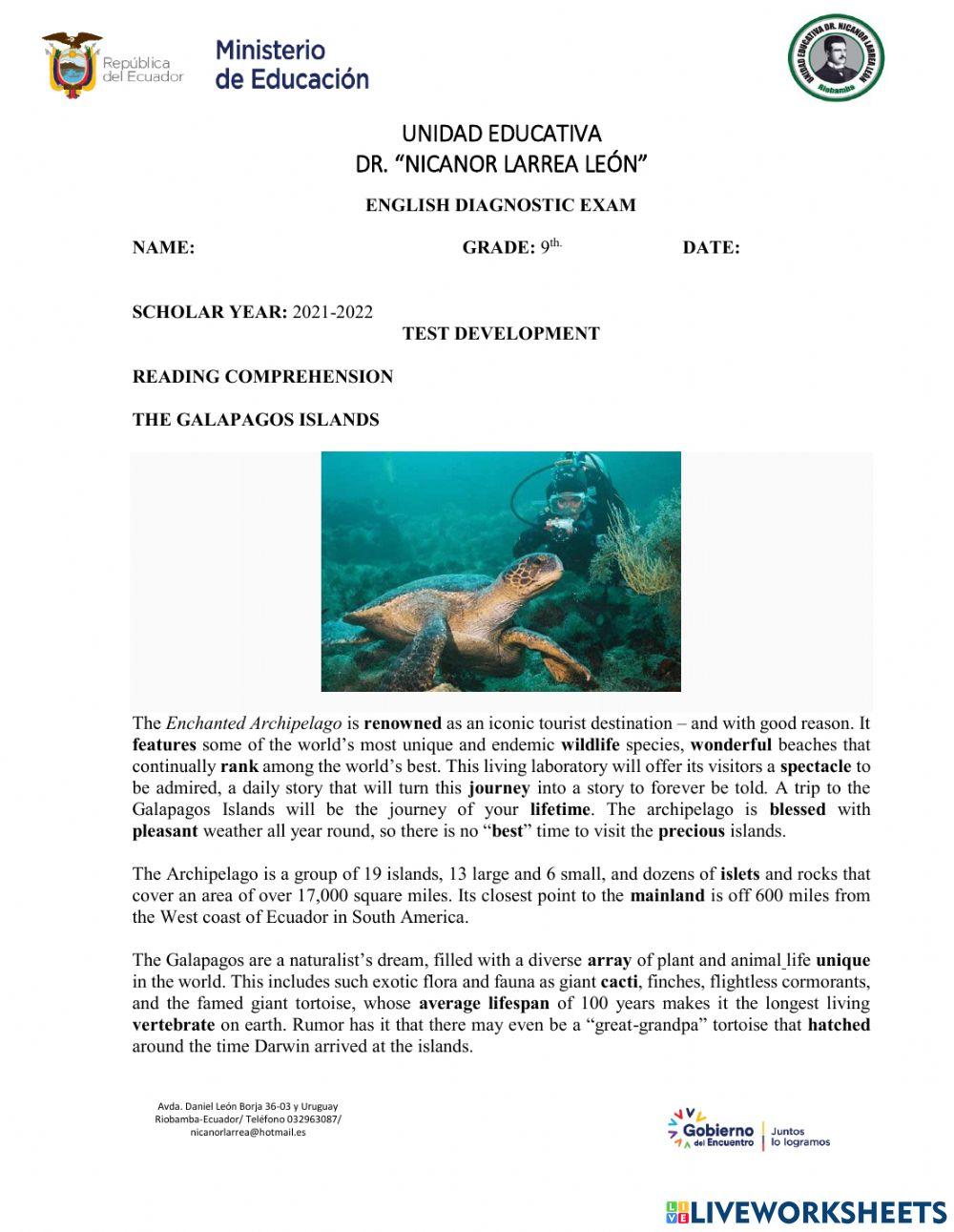 Ninth Grade Eng… | Free Interactive Worksheets | 3866486