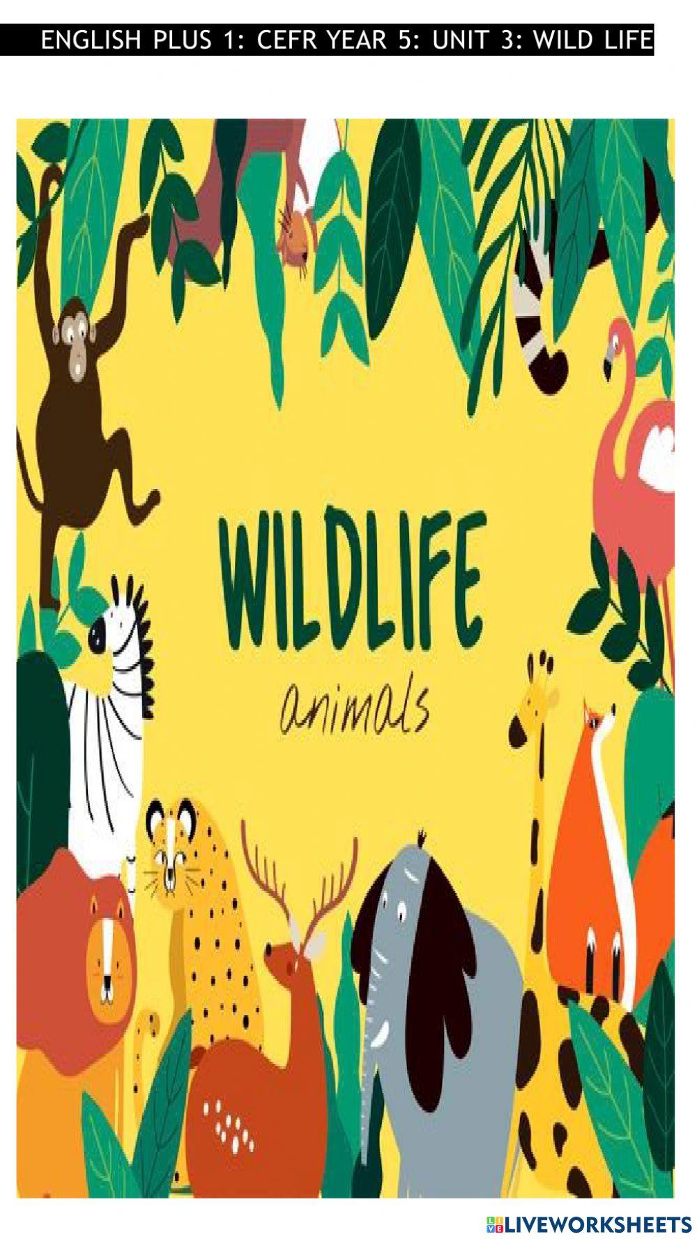 Revision on unit 3: Wildlife worksheet | Live Worksheets
