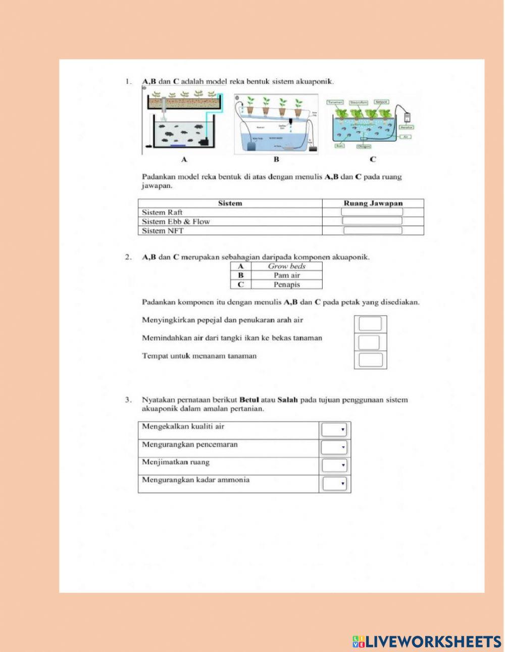 Latihan rbt online worksheet | Live Worksheets