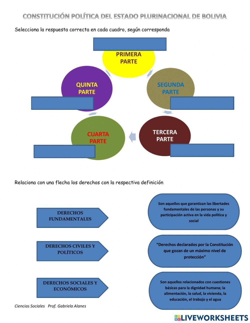CONSTITUCIÓN POLÍTICA DEL ESTADO PLURINACIONAL DE BOLIVIA worksheet ...