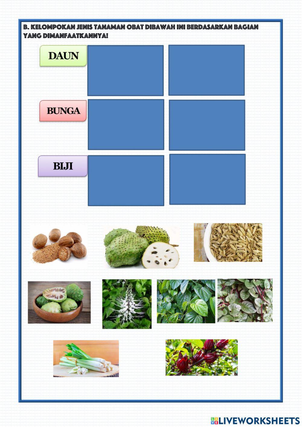 Unit test craft grade 7 worksheet | Live Worksheets