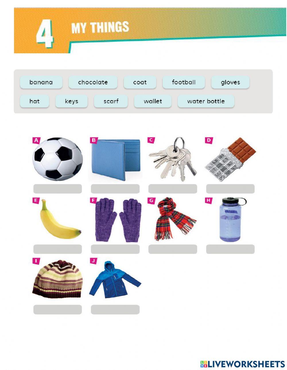 UNIT 4 MY THINGS online exercise for | Live Worksheets