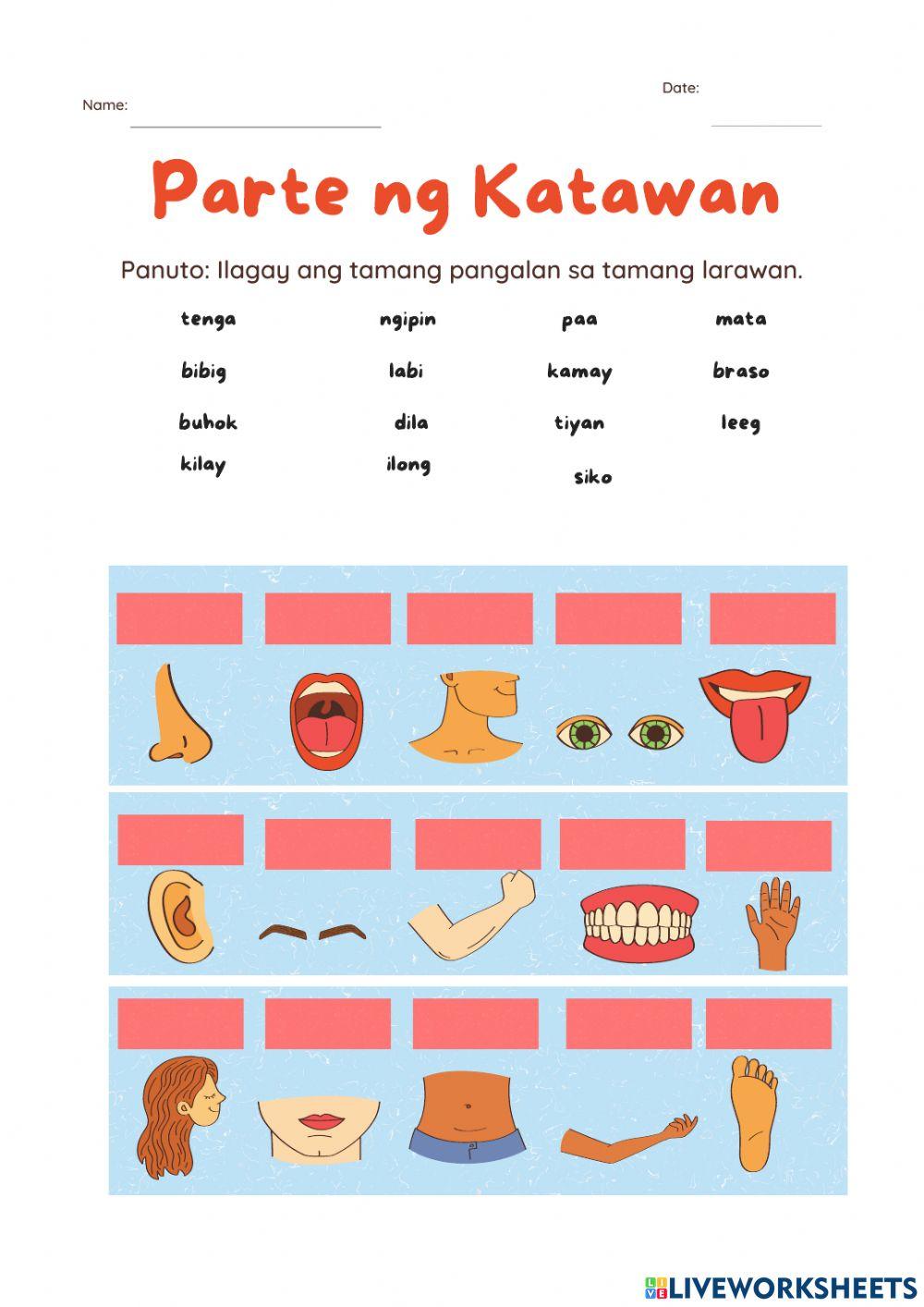 Iba't Ibang Bahagi Ng Katawan Worksheet Live Worksheets, 44% OFF Iba't Ibang Bahagi Ng Katawan Worksheet Live Worksheets, 44% OFF