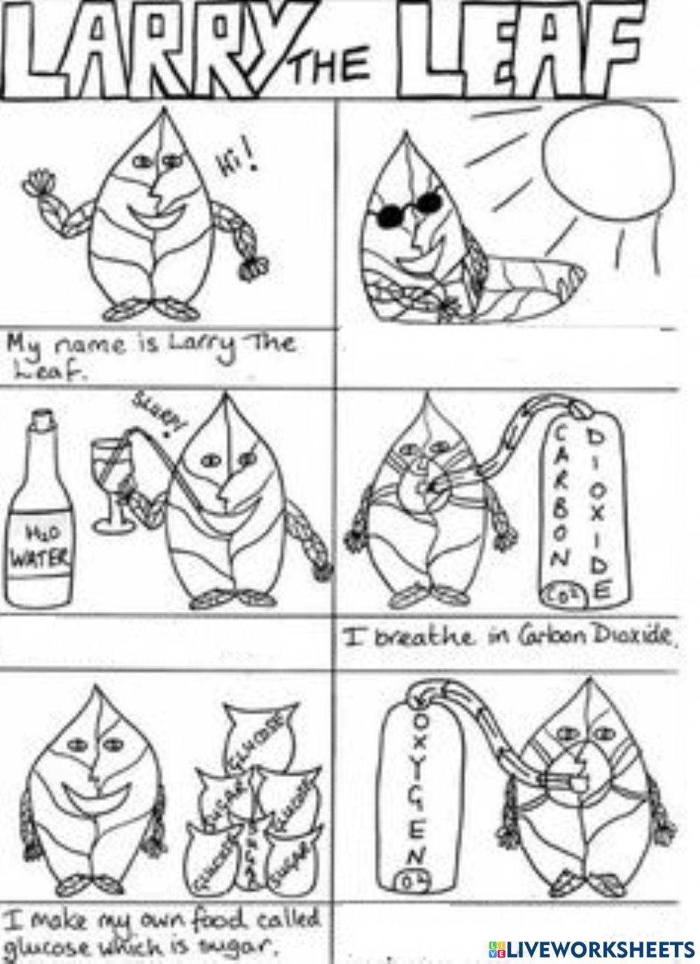 Photosynthesis Comic Strip Larry The Leaf