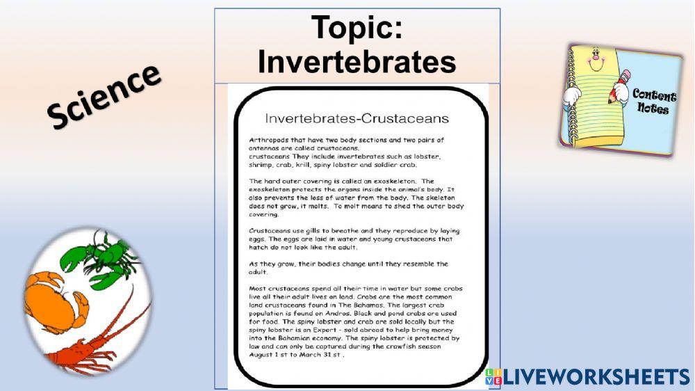 Crustaceans | Free Interactive Worksheets | 1371176
