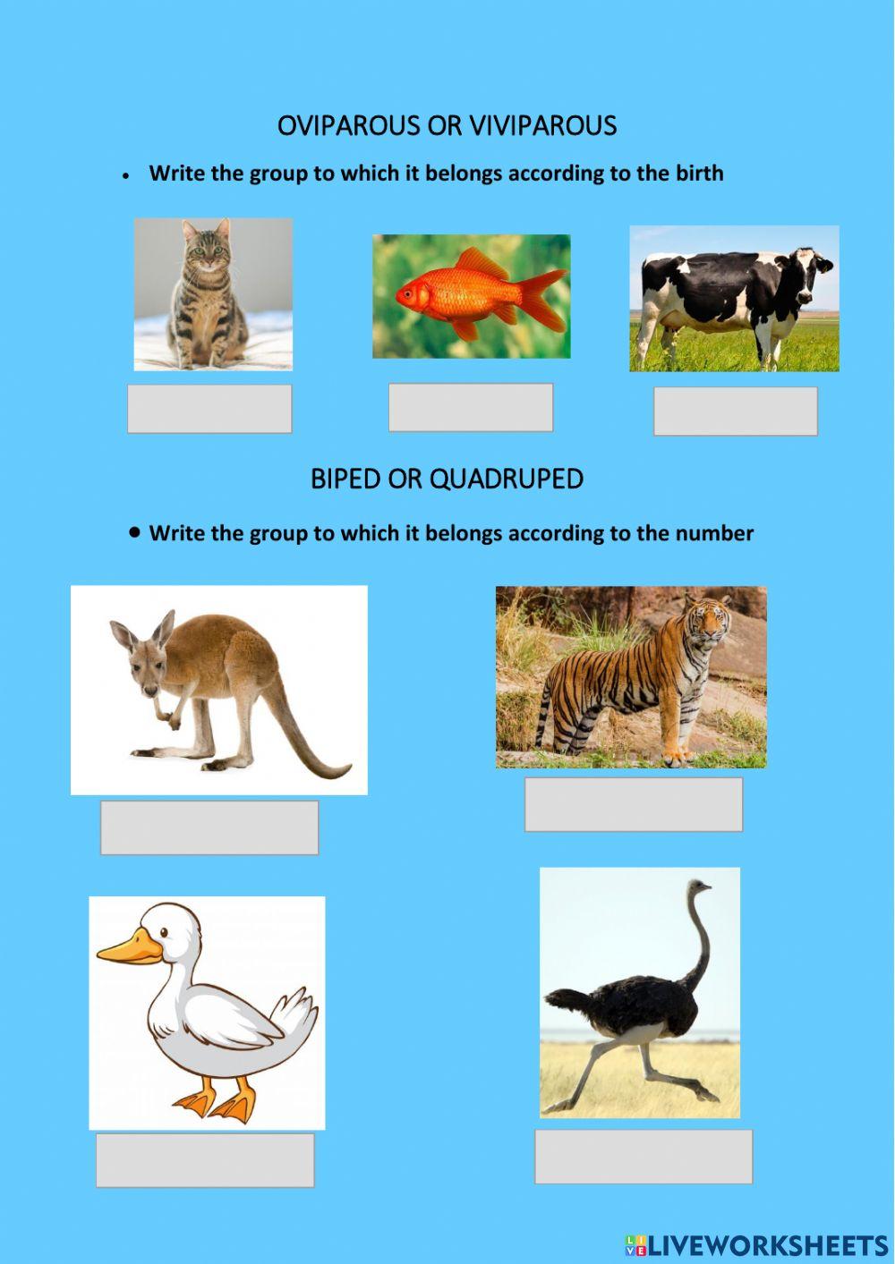 1371448 | Animal characteristics | TatianaMolina1