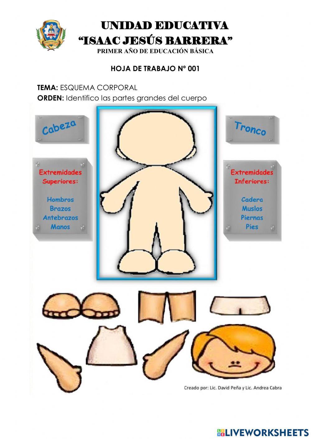 ESQUEMA CORPORAL online exercise for | Live Worksheets