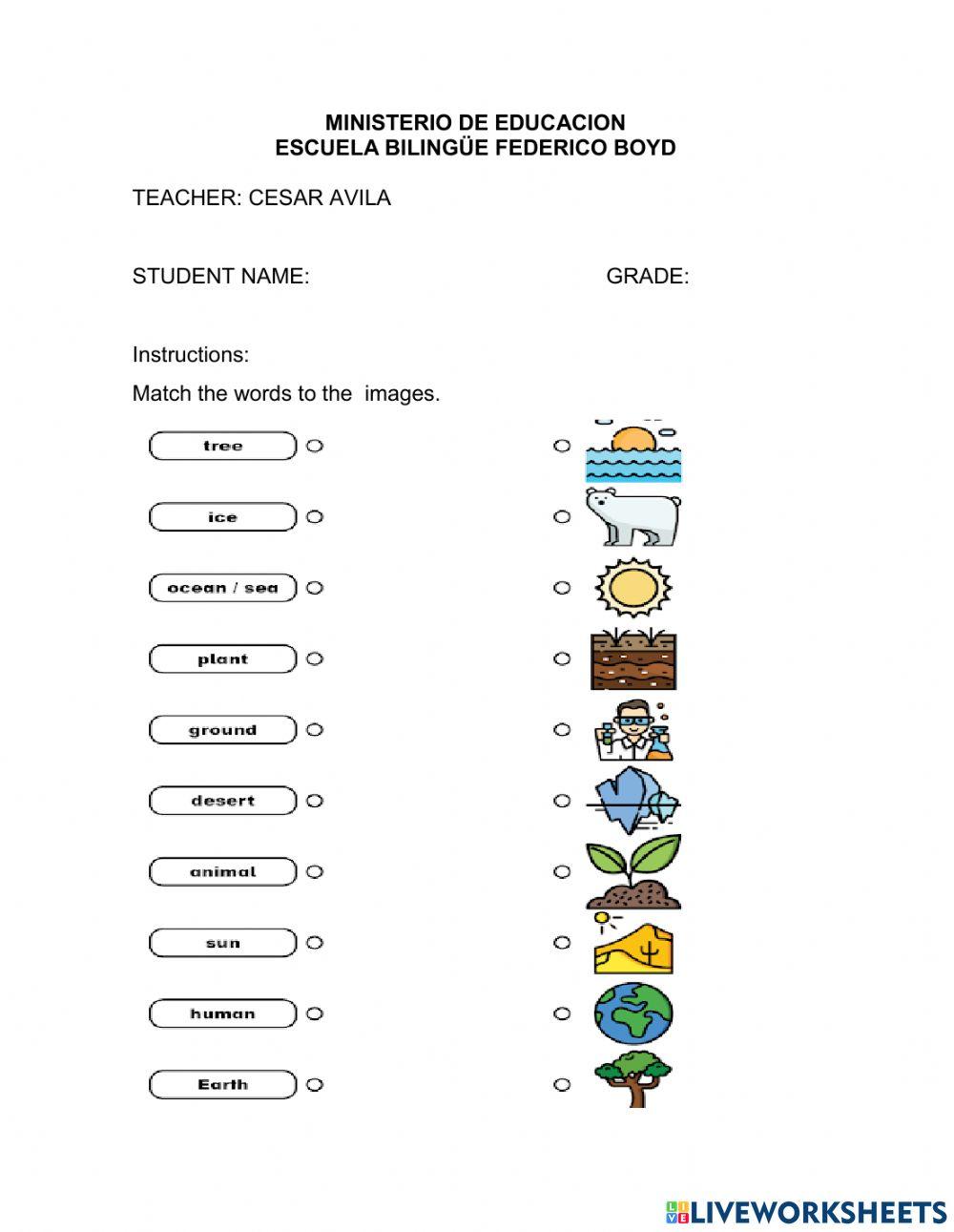 Global warming 2 interactive worksheet | Live Worksheets
