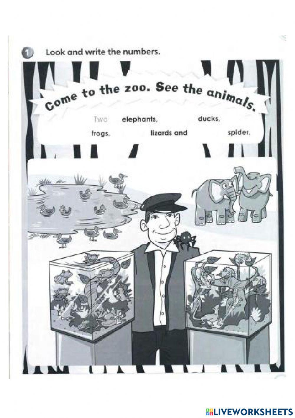 Year 1 unit 3 pet show interactive worksheet | Live Worksheets