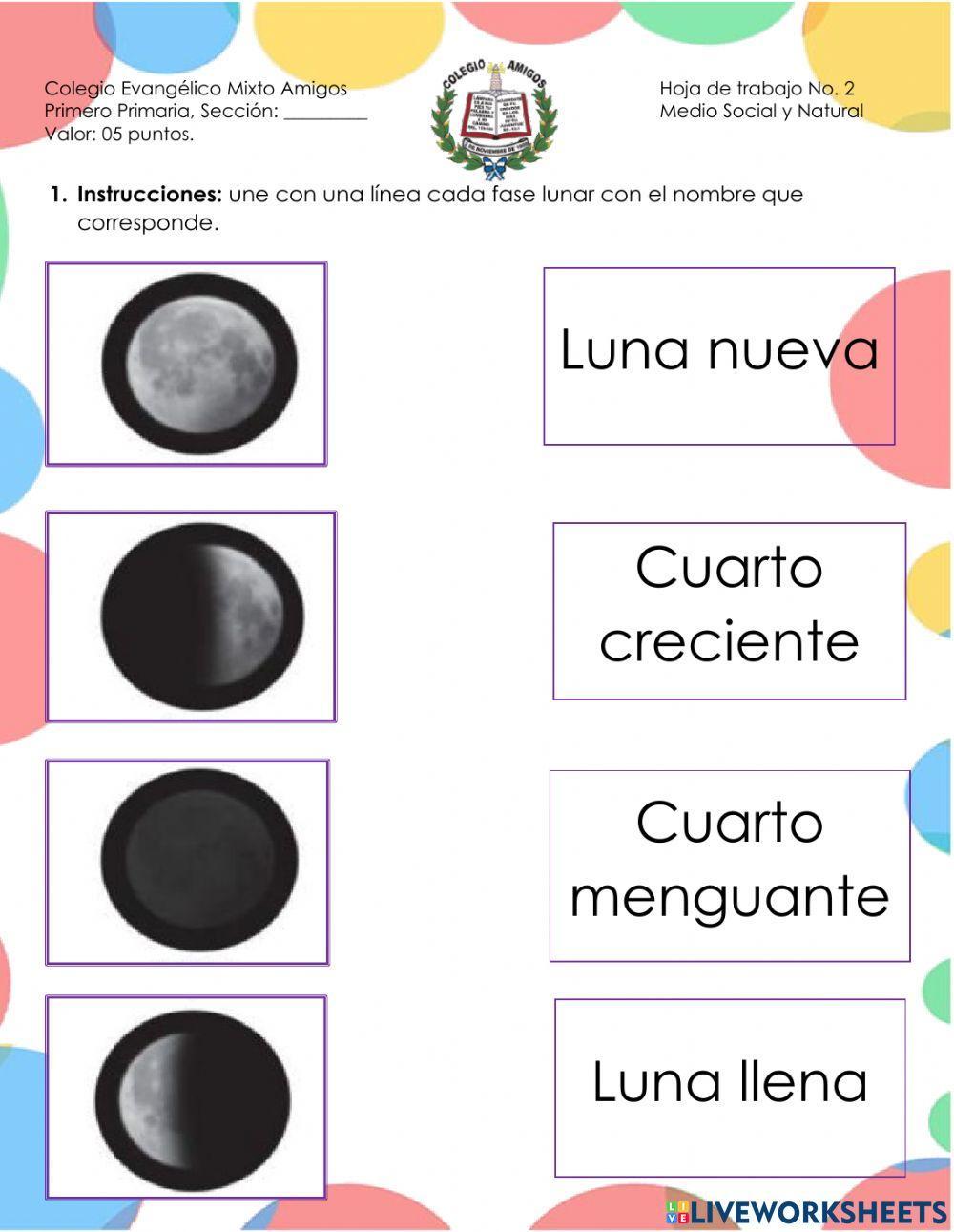 Hojas De Trabajo Sobre Las Fases De La Luna Manualidad Las Fases De
