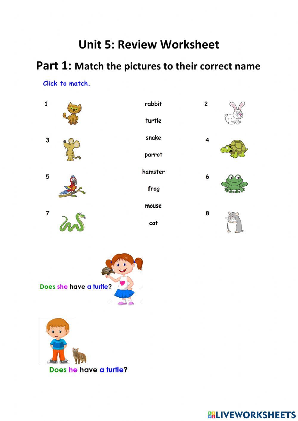 Pets online exercise for Grade 1 | Live Worksheets
