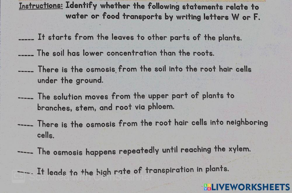 1375493 | 1.Science M.1 Transport of PLANT | Lucia Jayric