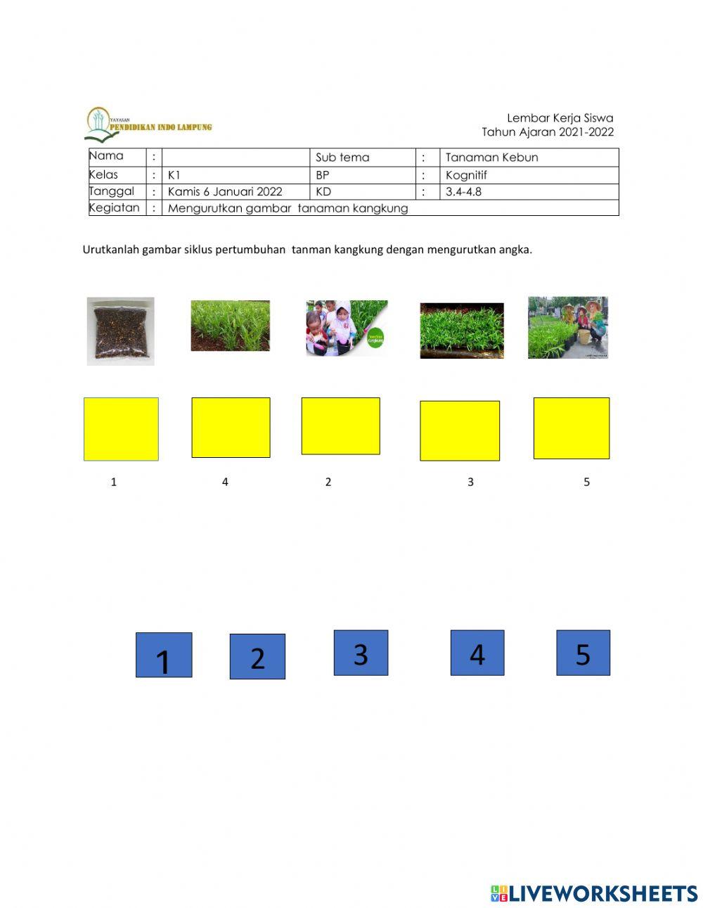 Memasangkan gambar sesuai angka worksheet | Live Worksheets
