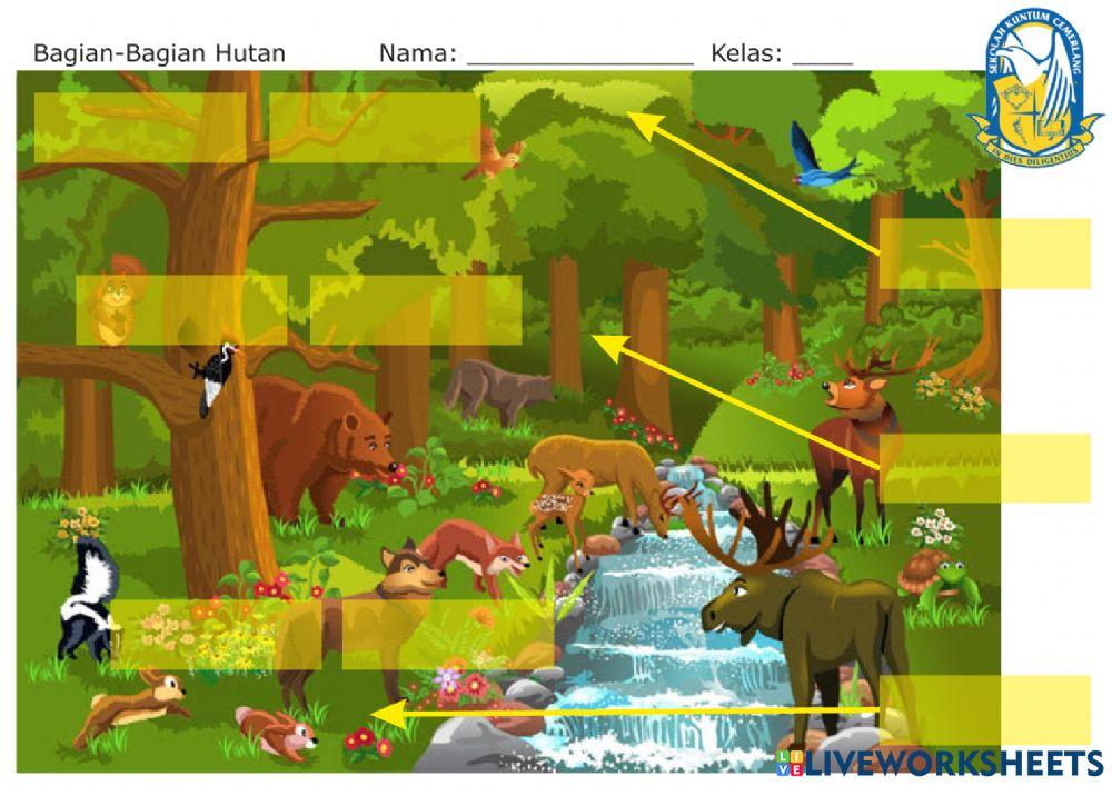 Bagian Hutan | LiveWorksheets | 1783039