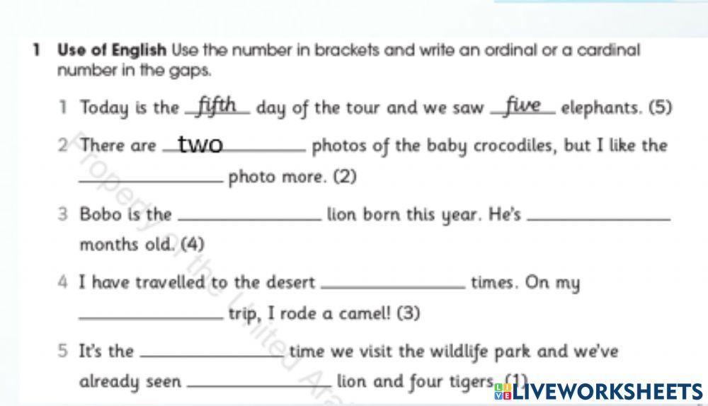 Grade 6- Unit 6 -Lesson 5 worksheet | Live Worksheets